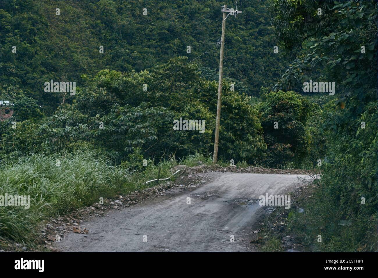 Closeup shot of an unpaved road and an old wooden electricity post with ...
