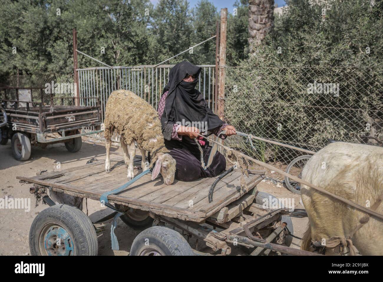 Woman slaughter sheep hi-res stock photography and images - Alamy