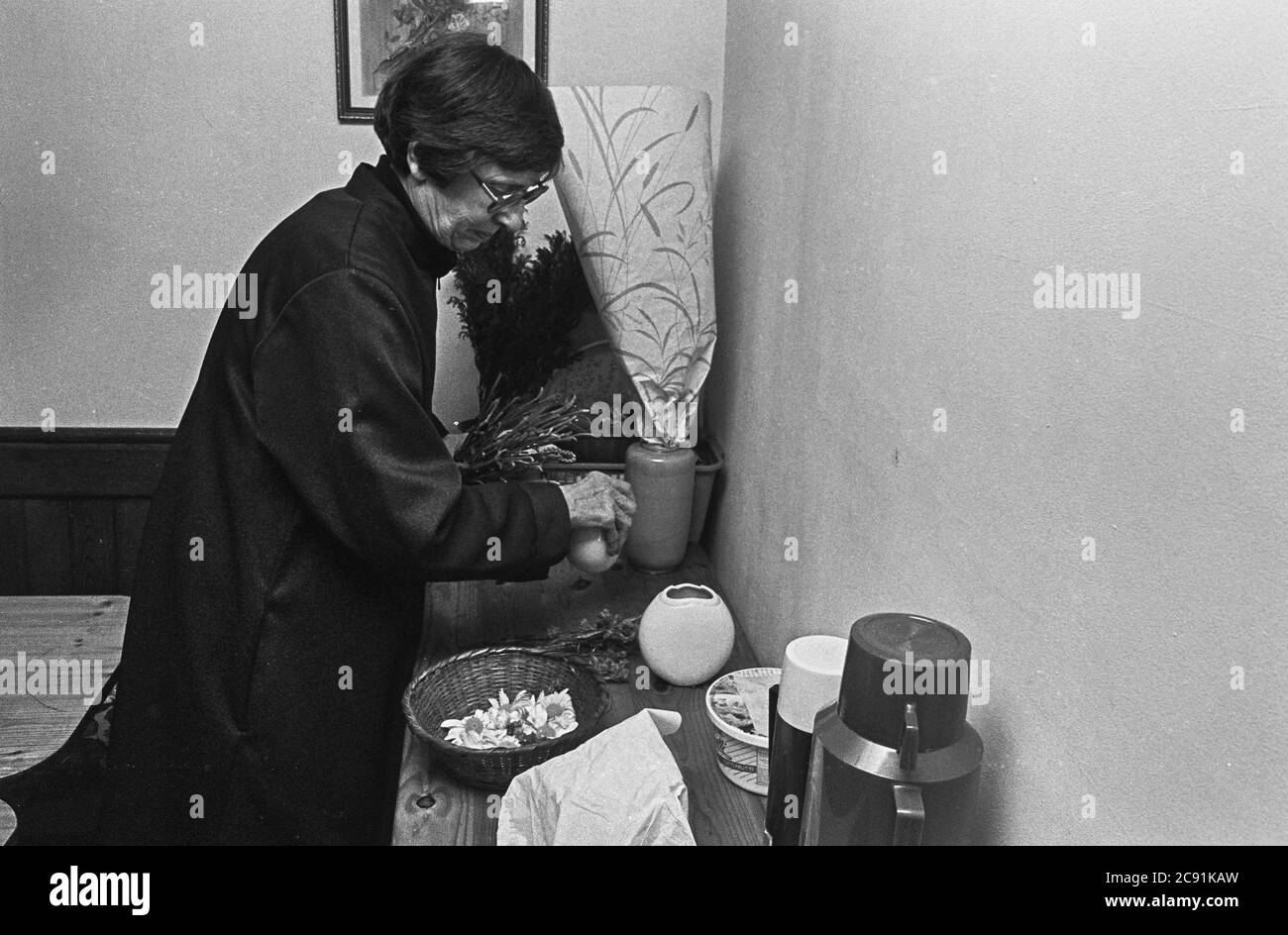 Skanda Vale, Community of the Many Names of God, Carmarthenshire 1993 ...