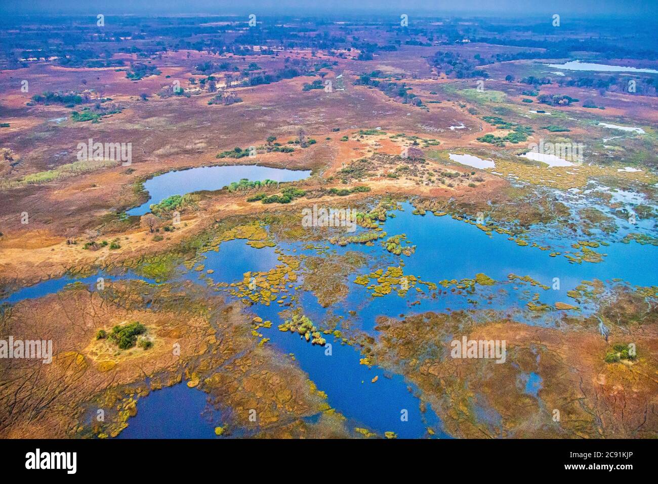 Aerial view, Okavango Wetlands, Okavango Grasslands, Okavango Delta ...