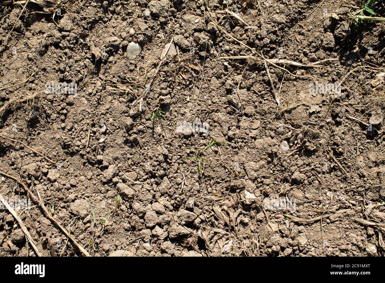 Agricultural texture hi-res stock photography and images - Alamy