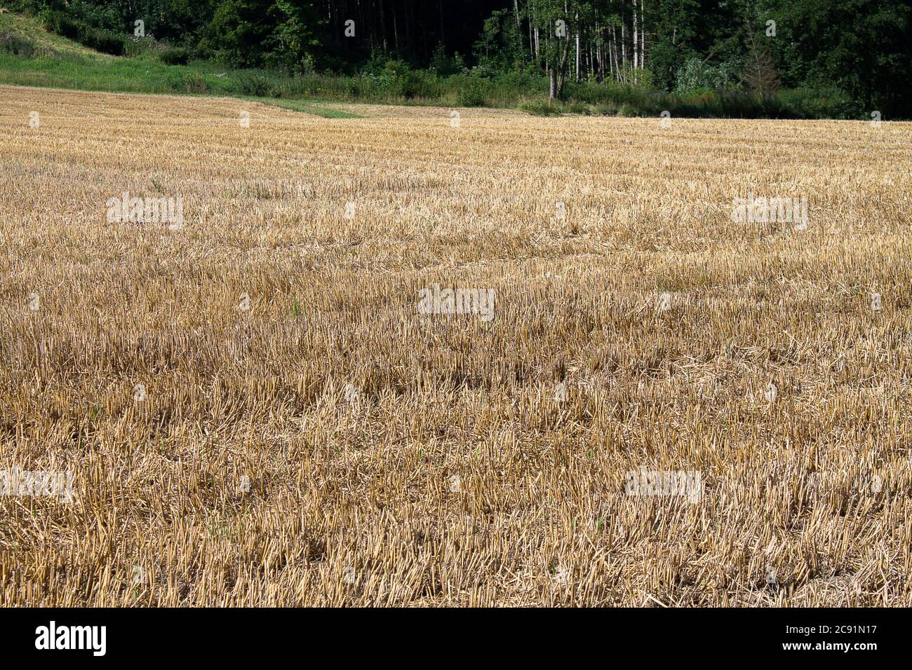 Parched field texture hi-res stock photography and images - Alamy