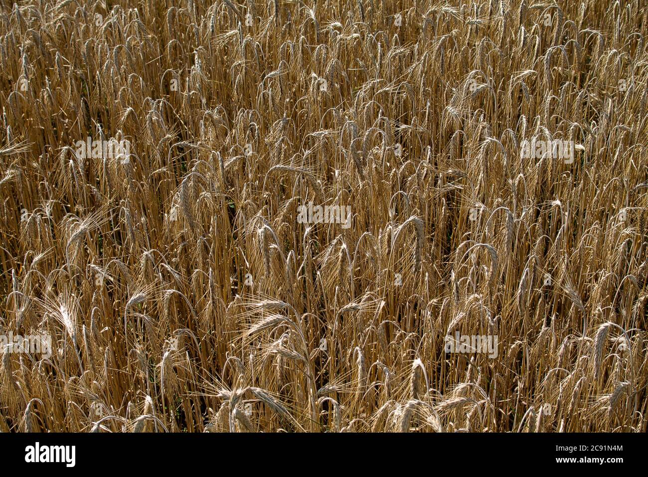 Farming texture hi-res stock photography and images - Alamy