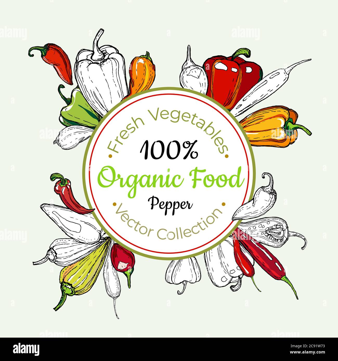 Realistic chili pepper template hi-res stock photography and images - Alamy