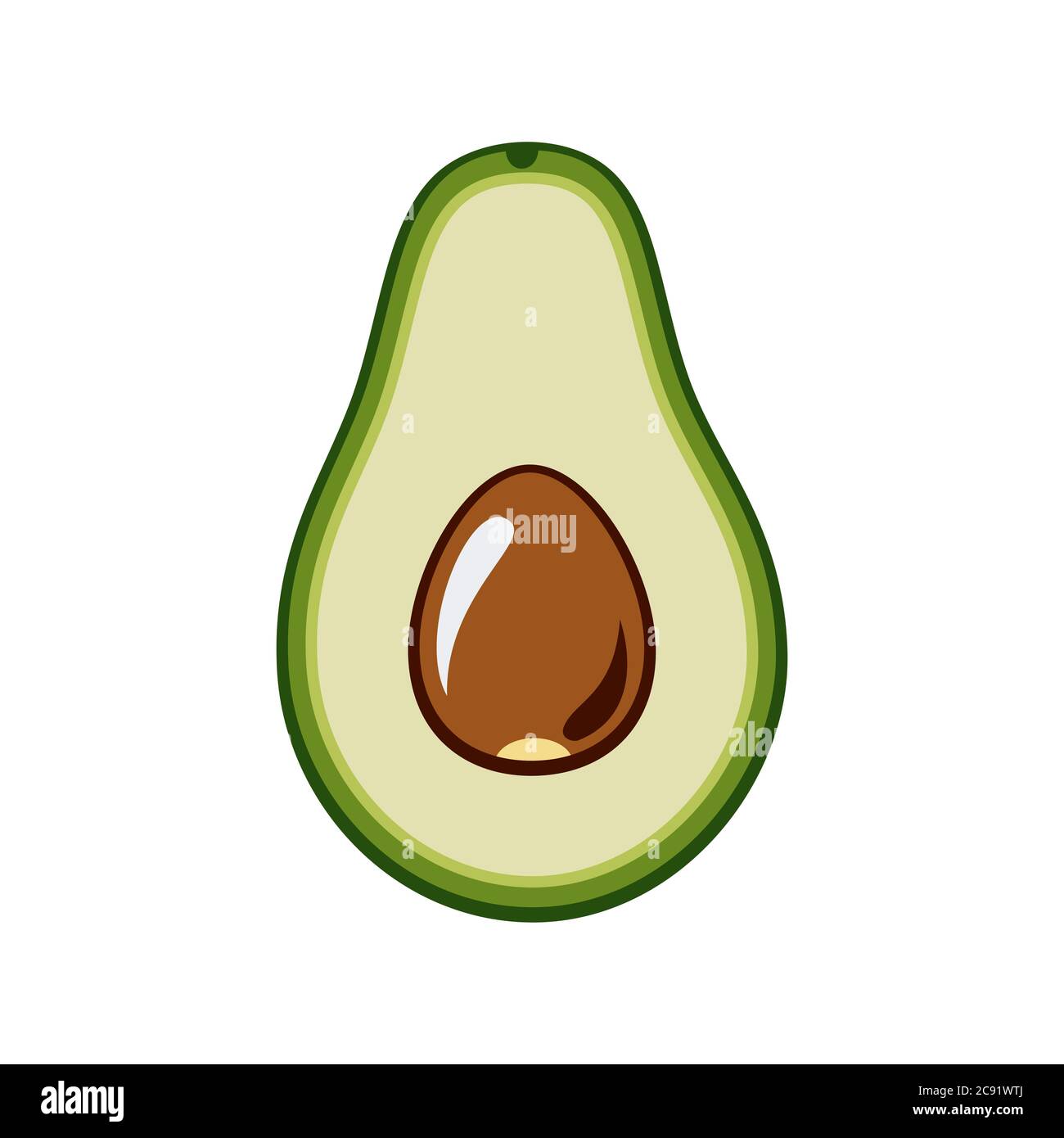 Avocado vector isolated on white backgroud. Green avocado whole, cut in ...