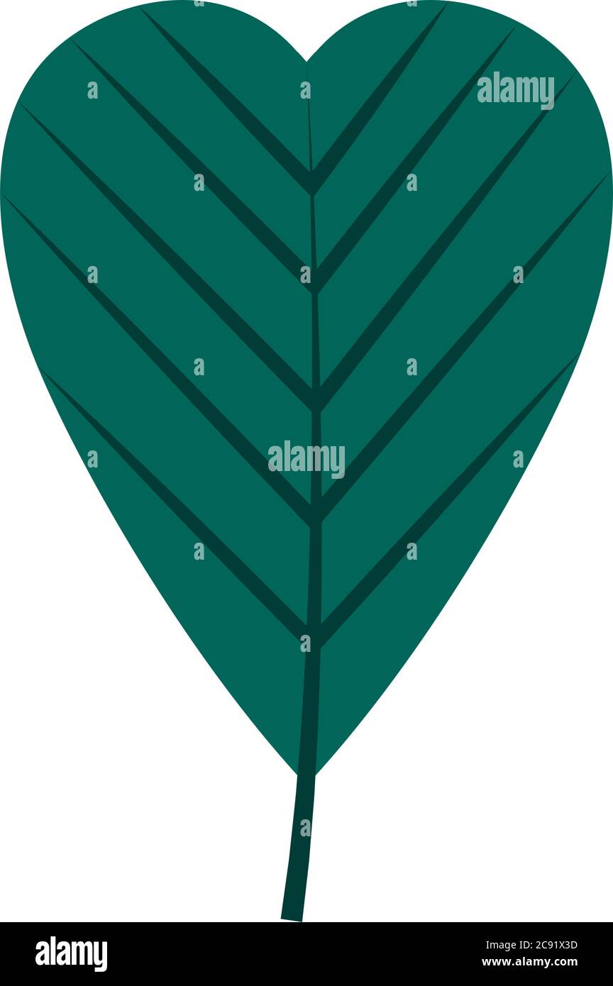 tropical heart shaped leaf flat style icon design of Natural floral ...