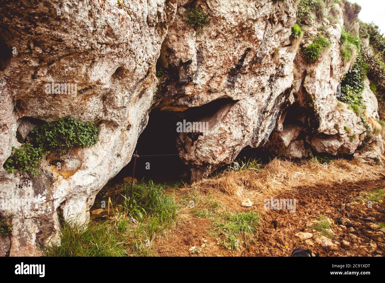 Mystical view of a green-covered cave in the daylight Stock Photo - Alamy