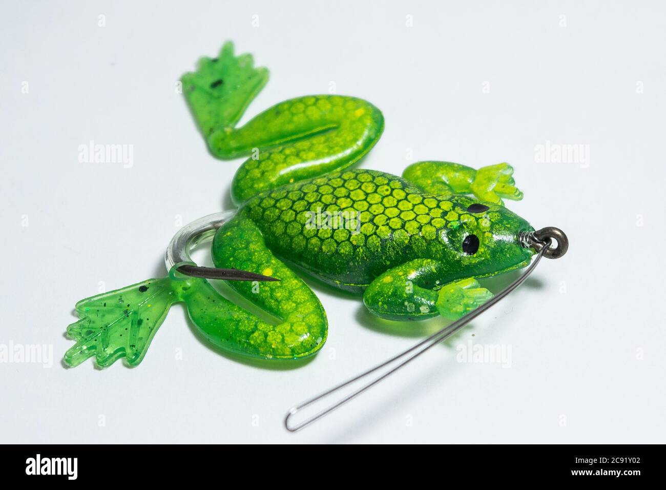Big female frog hi-res stock photography and images - Alamy