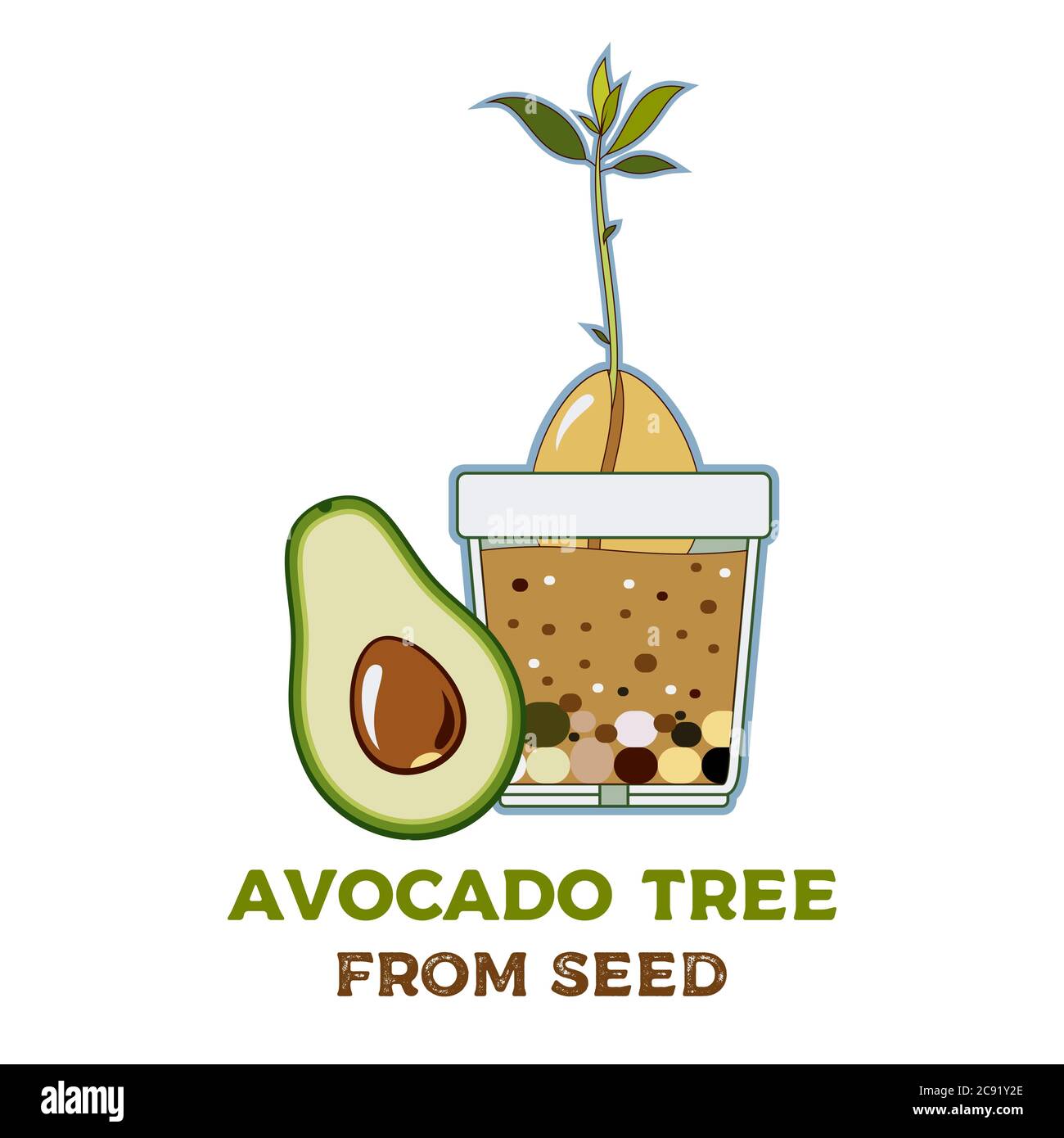 Tree life cycle diagram hi-res stock photography and images - Alamy