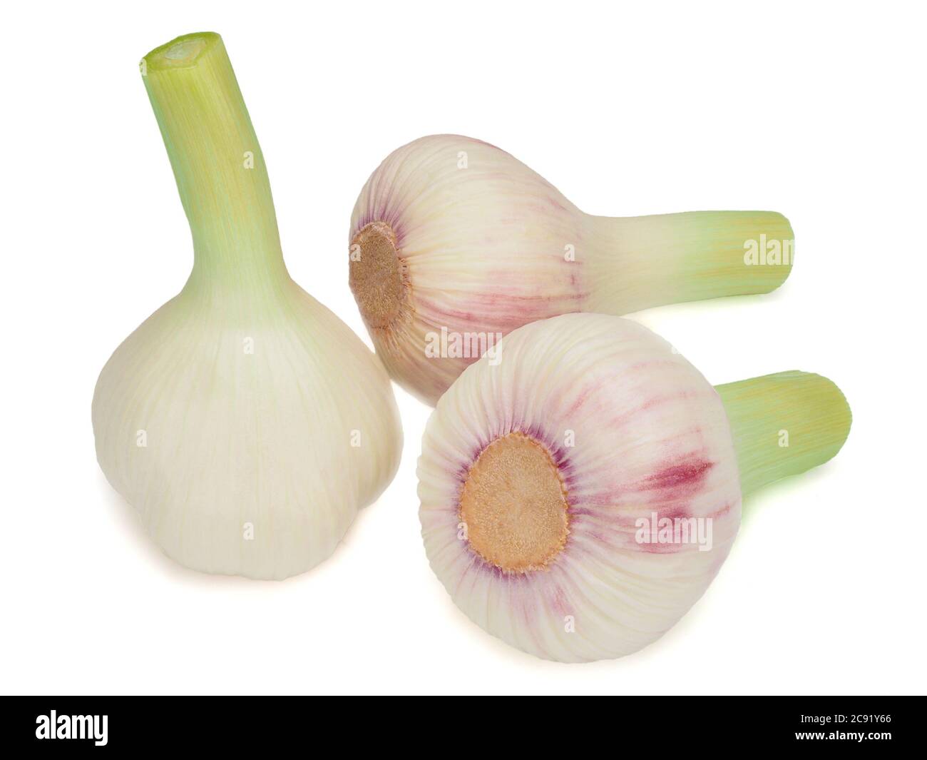 Fresh young garlic isolated on white background Stock Photo - Alamy