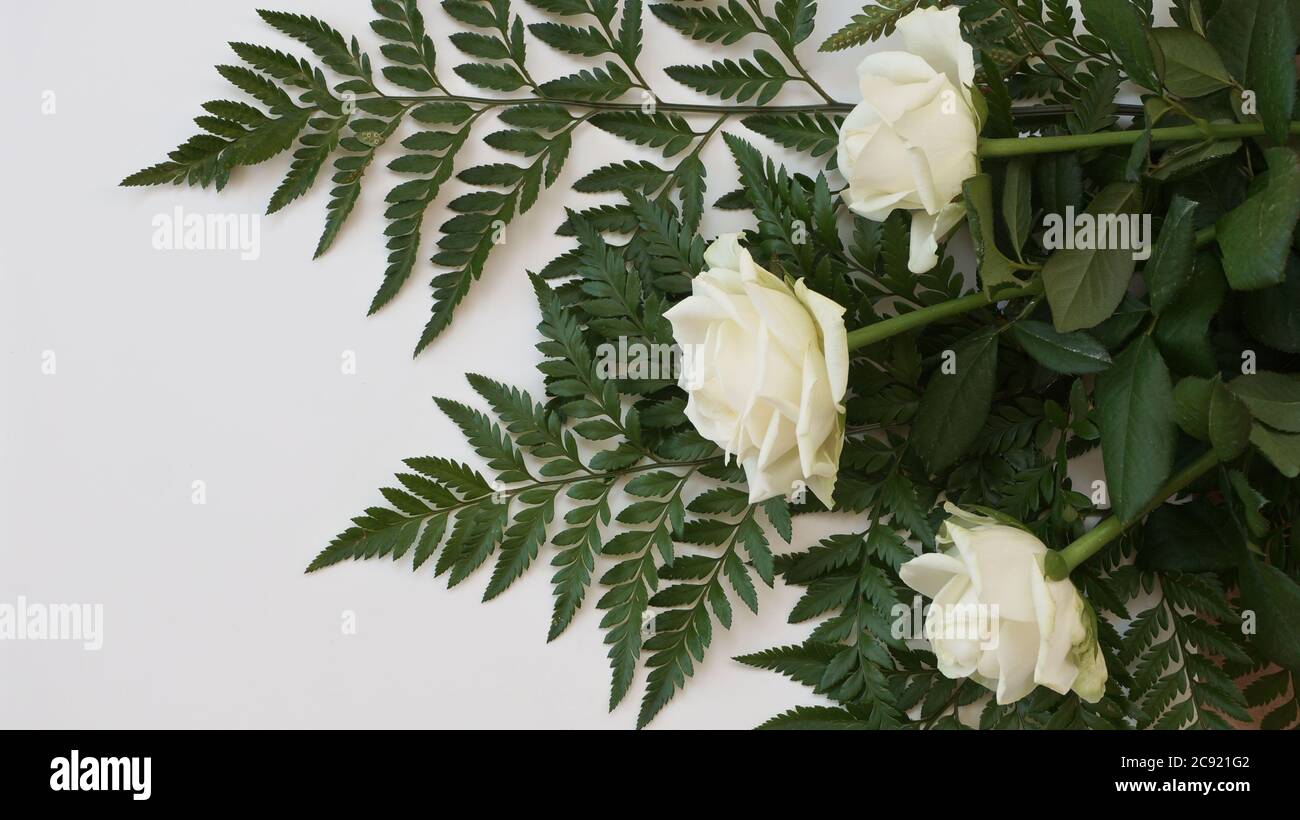 Three fresh white roses bouquet composition on green tropical leaves ...