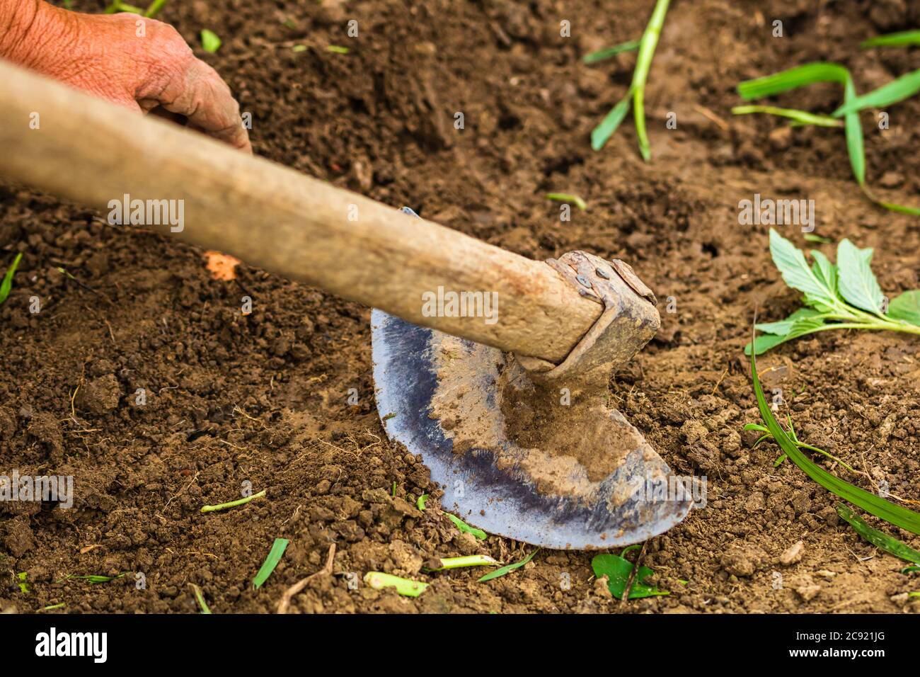 Farmer Digging Spade Hand Tool High Resolution Stock Photography and ...