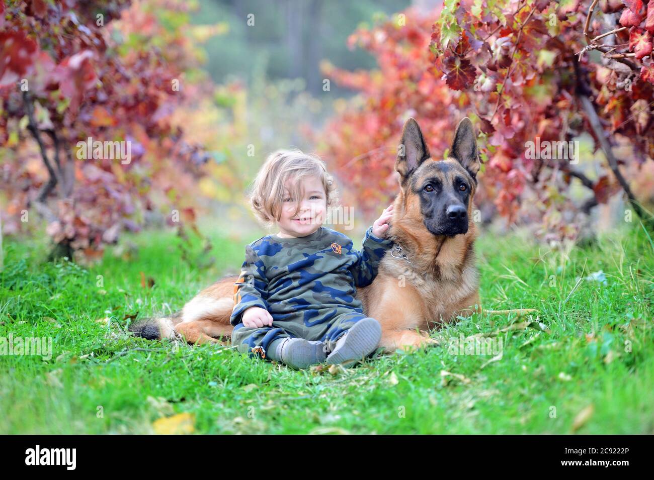 Cute boy with a dog Stock Photo - Alamy