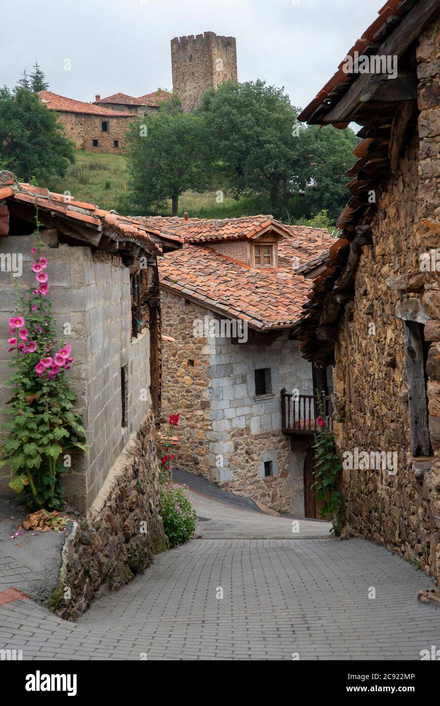 Mogrovejo hi-res stock photography and images - Alamy