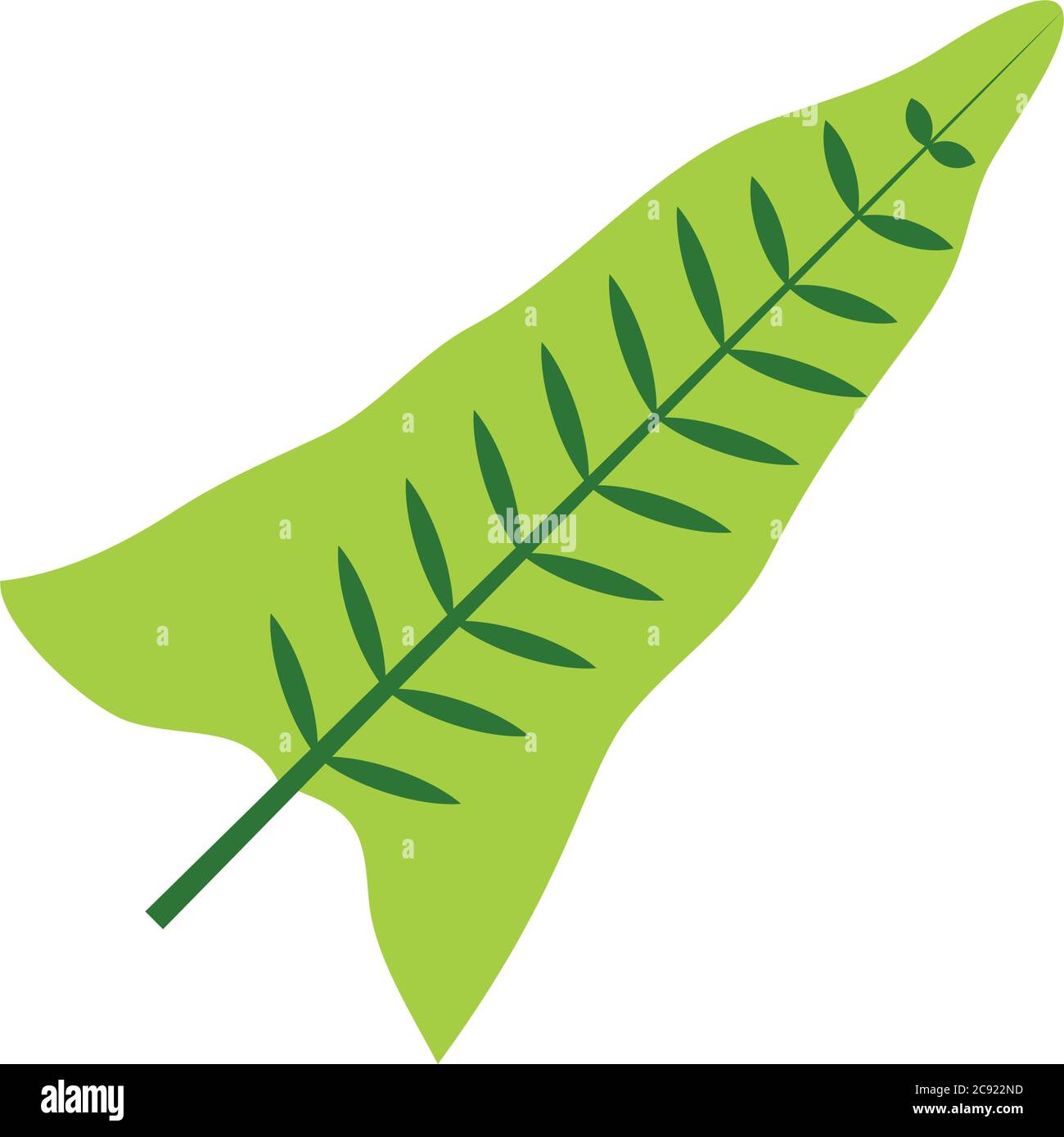 tropical leaf flat style icon design of Natural floral nature and plant ...