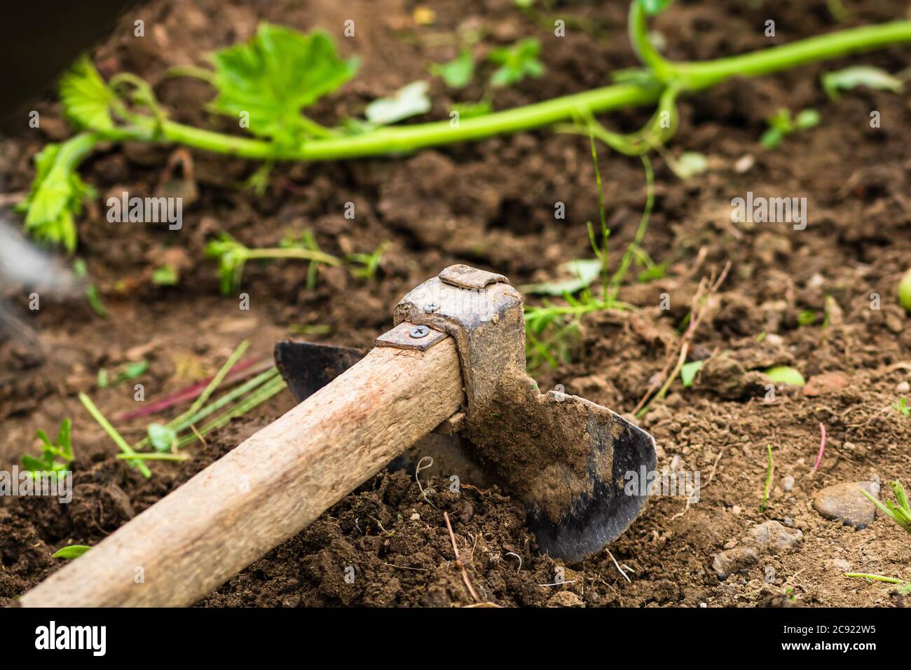 Hoe loosening soil hi-res stock photography and images - Alamy