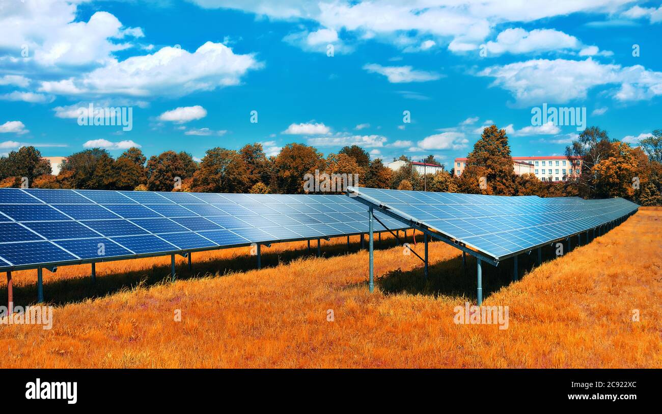 Solar power plant, blue solar panels on orange Autumn grass field under ...