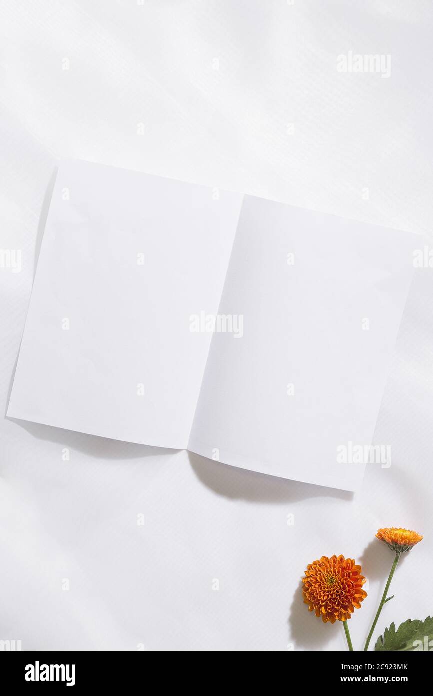 Top view of voile fabric background with two orange flowers and a piece ...