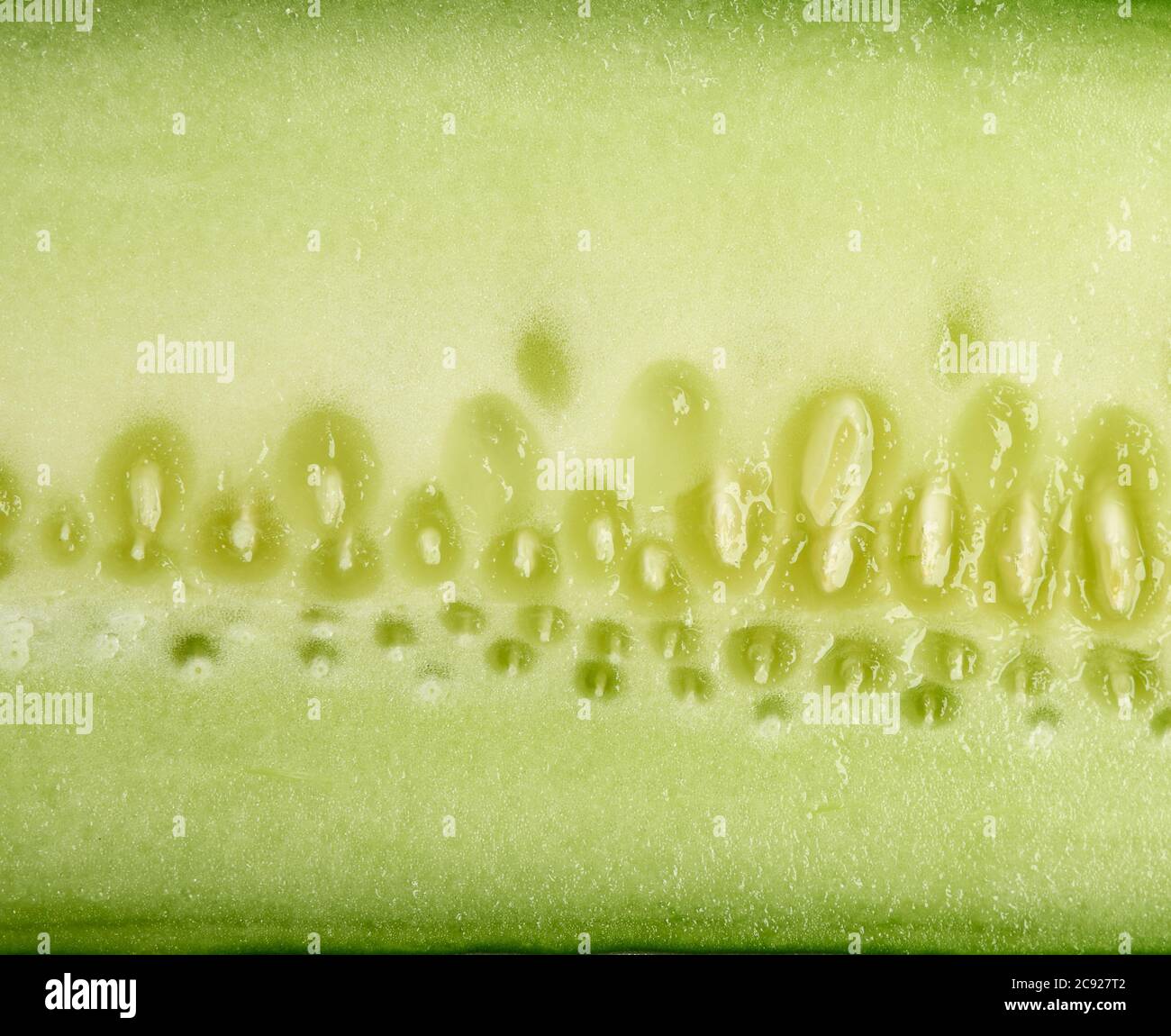 green cucumber slice texture, macro, full frame Stock Photo - Alamy