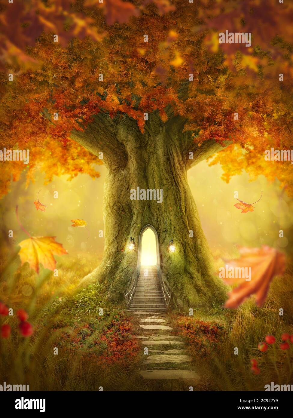 Enchanted forest in autumn Stock Photo - Alamy
