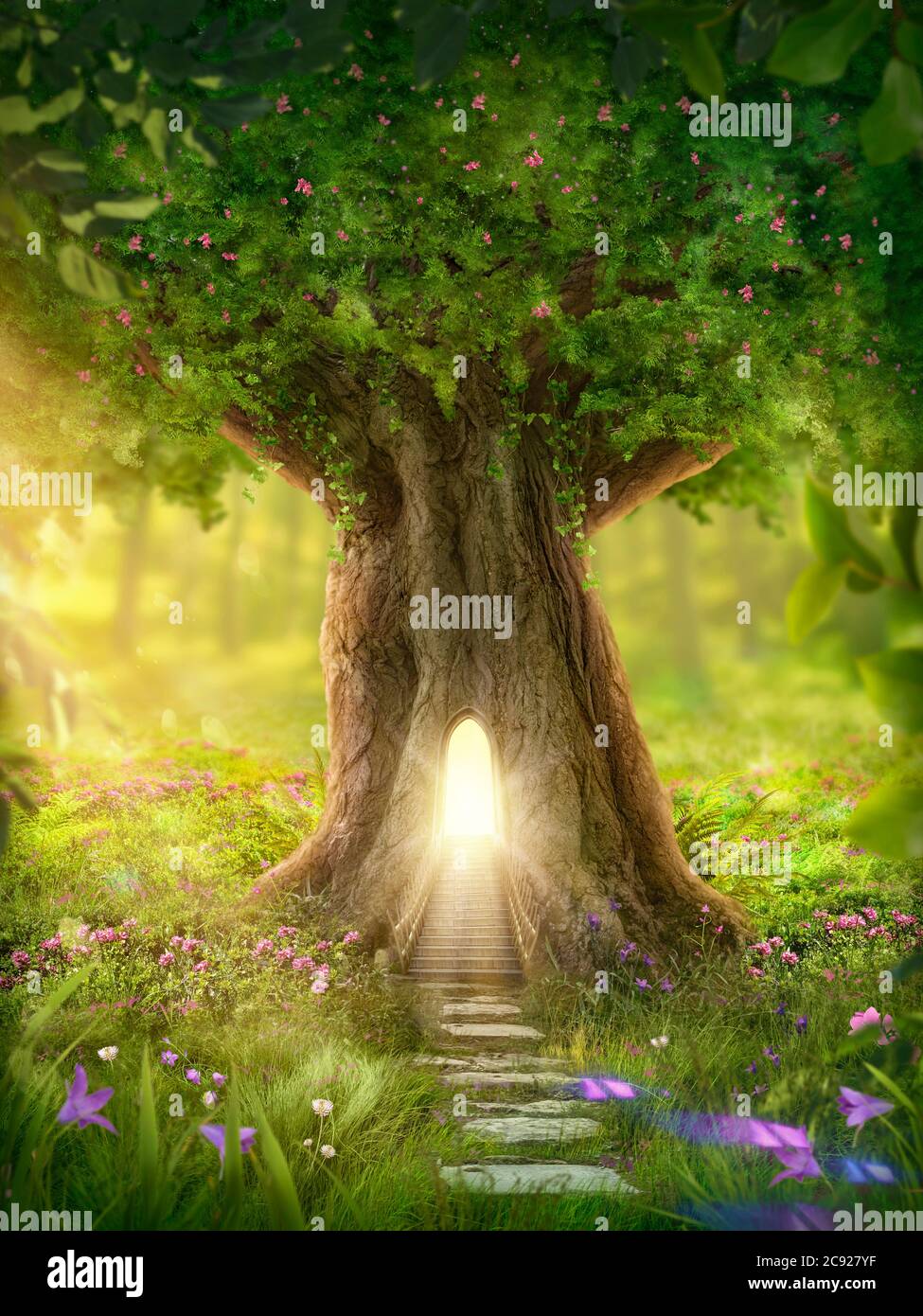 Magic tree hi-res stock photography and images - Alamy