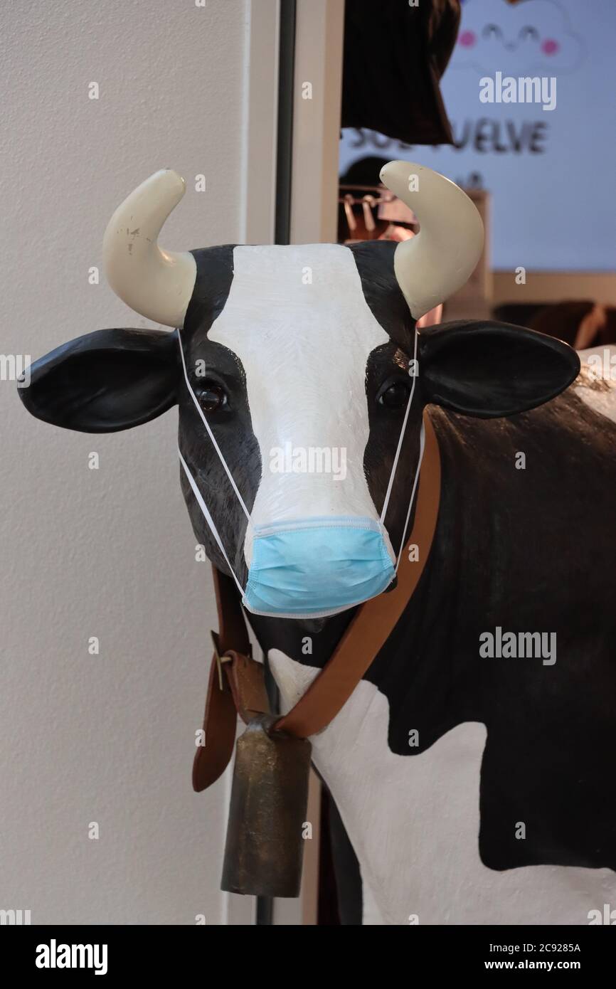 Dummy cow hi-res stock photography and images - Alamy