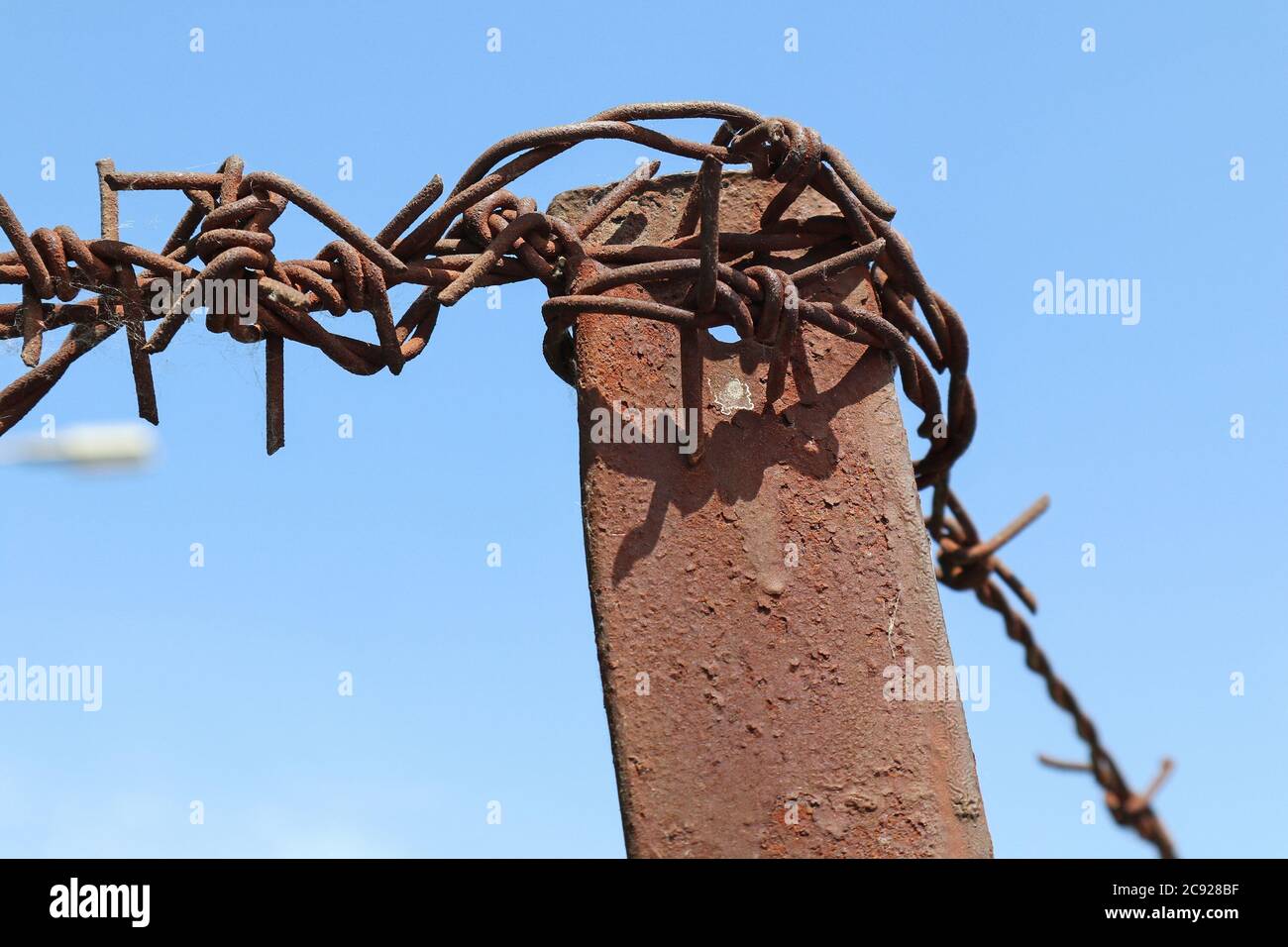 Old rusty barbed wire fence Stock Photo - Alamy