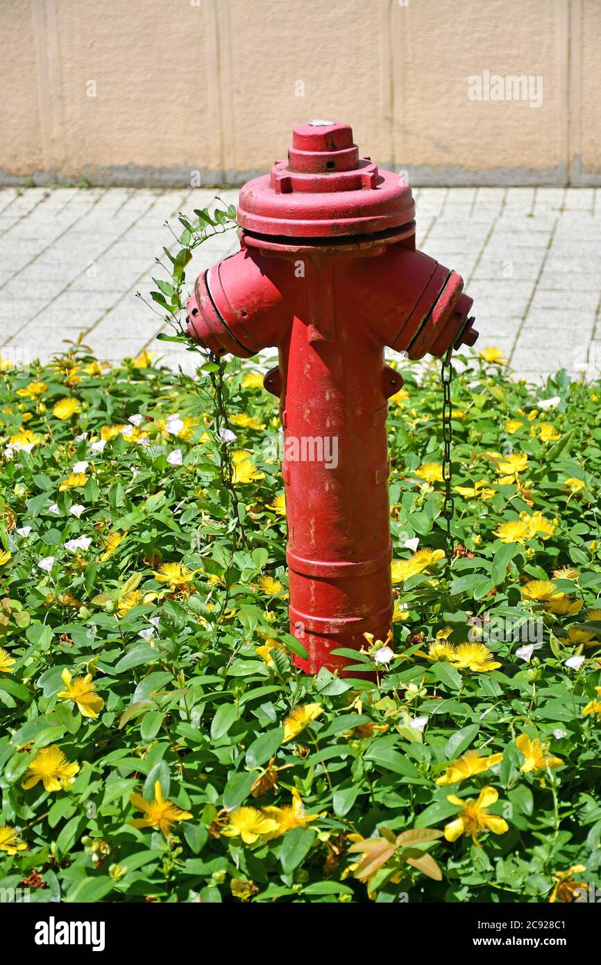 Red metal fire hydrant in the park Stock Photo - Alamy