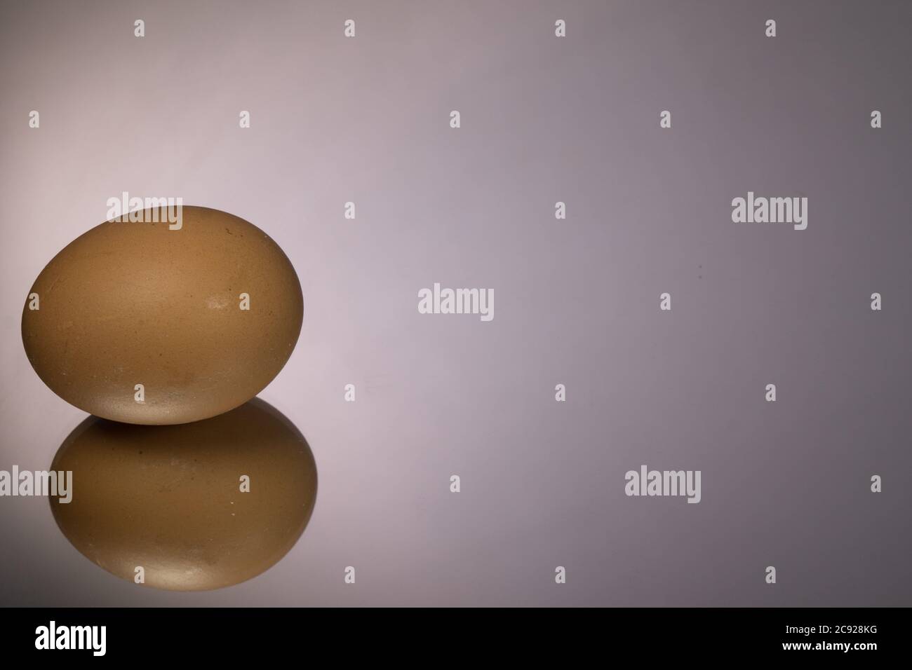 egg shell isolated on black background. mirror reflection Stock Photo ...