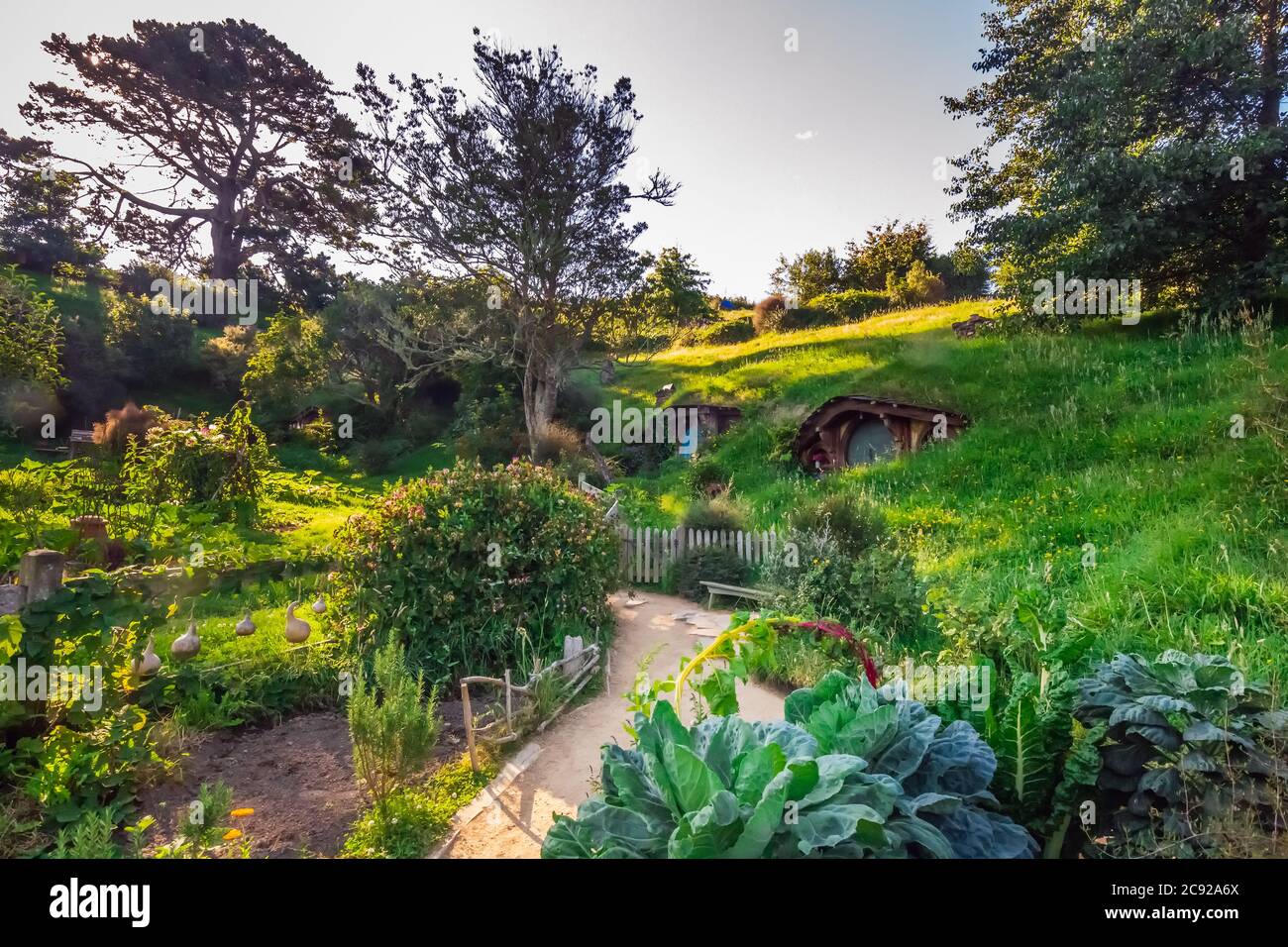 Hobbiton - landscape New Zealand, the place, where hobbits live in ...