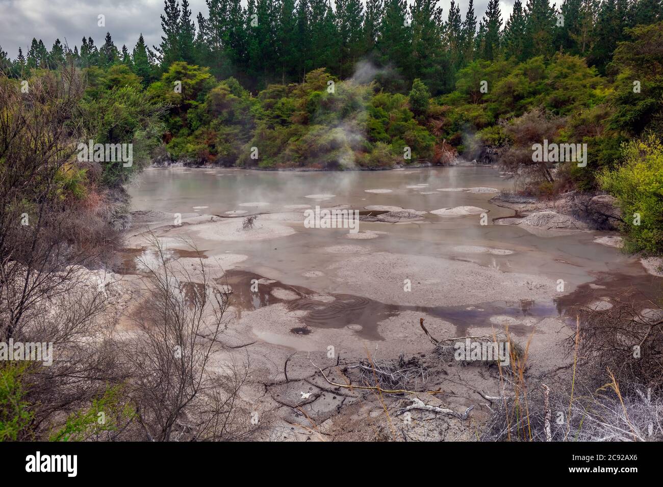 Unique thermal landscape boiling mud hi-res stock photography and ...
