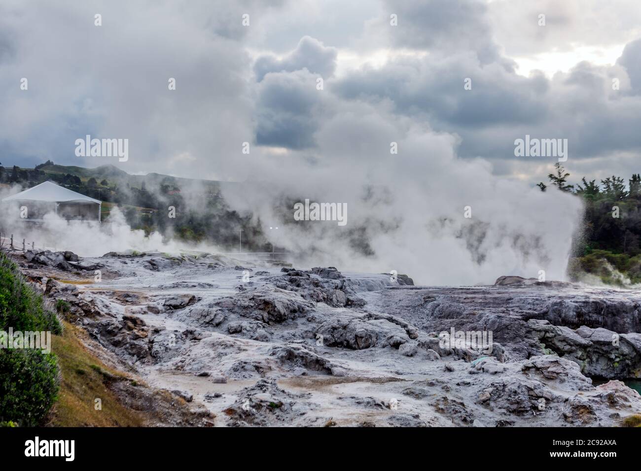 Fog over boiling mud pool at Wai-O-Tapu thermal wonderland, Rotorua ...