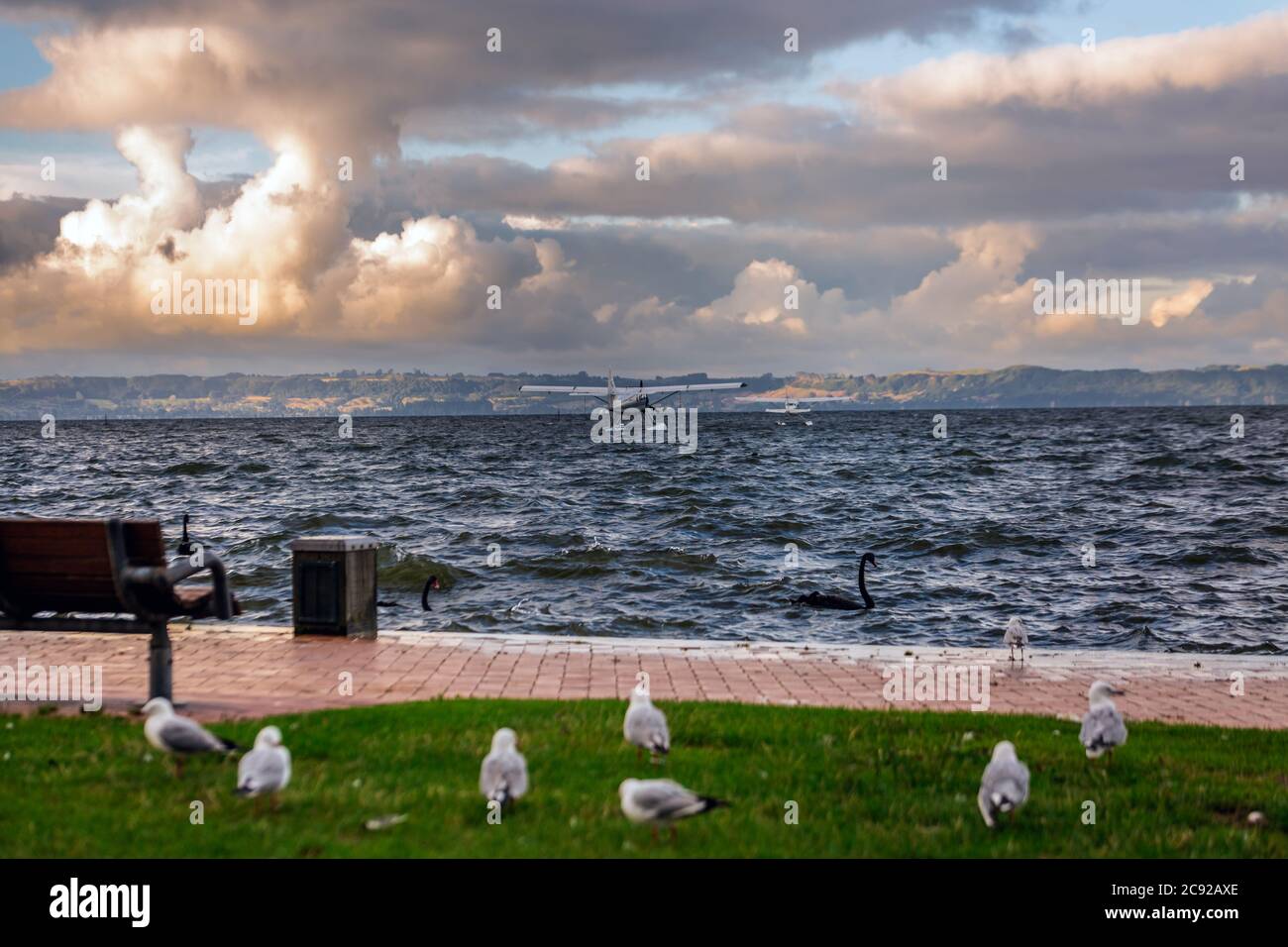 Hydroplane with big waves on the lake at Rotorua, New Zealand Stock ...