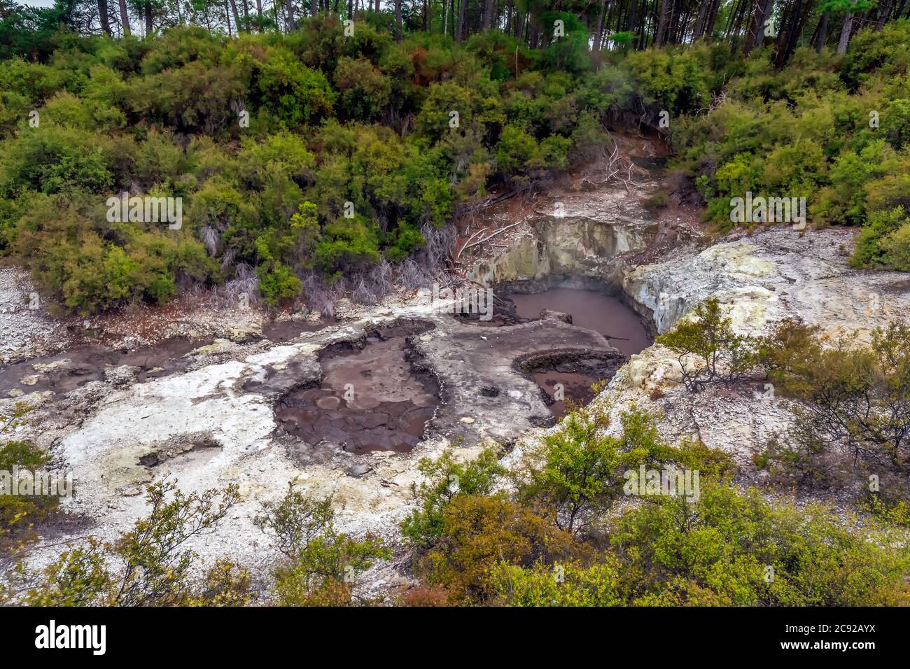 Mud pool at Wai-O-Tapu thermal wonderland, Rotorua, New Zealand Stock ...