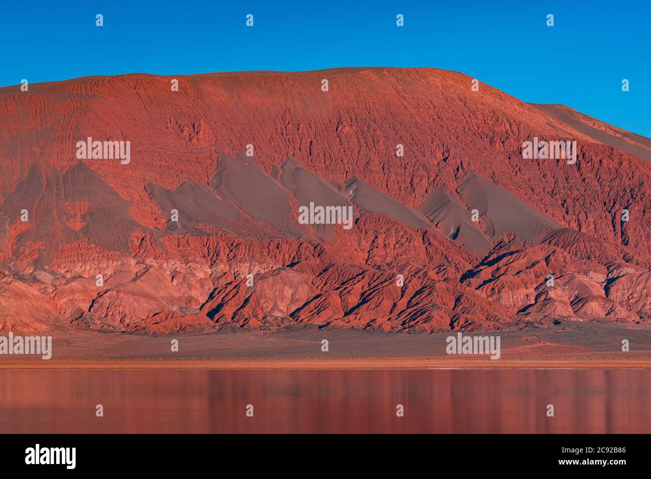 Laguna Carachi Pampa, El Peñón village, La Puna, Argentina, South ...