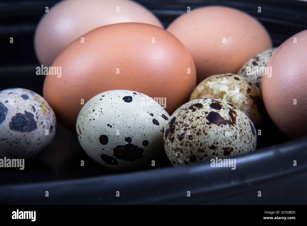 Some healthy native eggs and quail eggs are in a wooden basket next to ...
