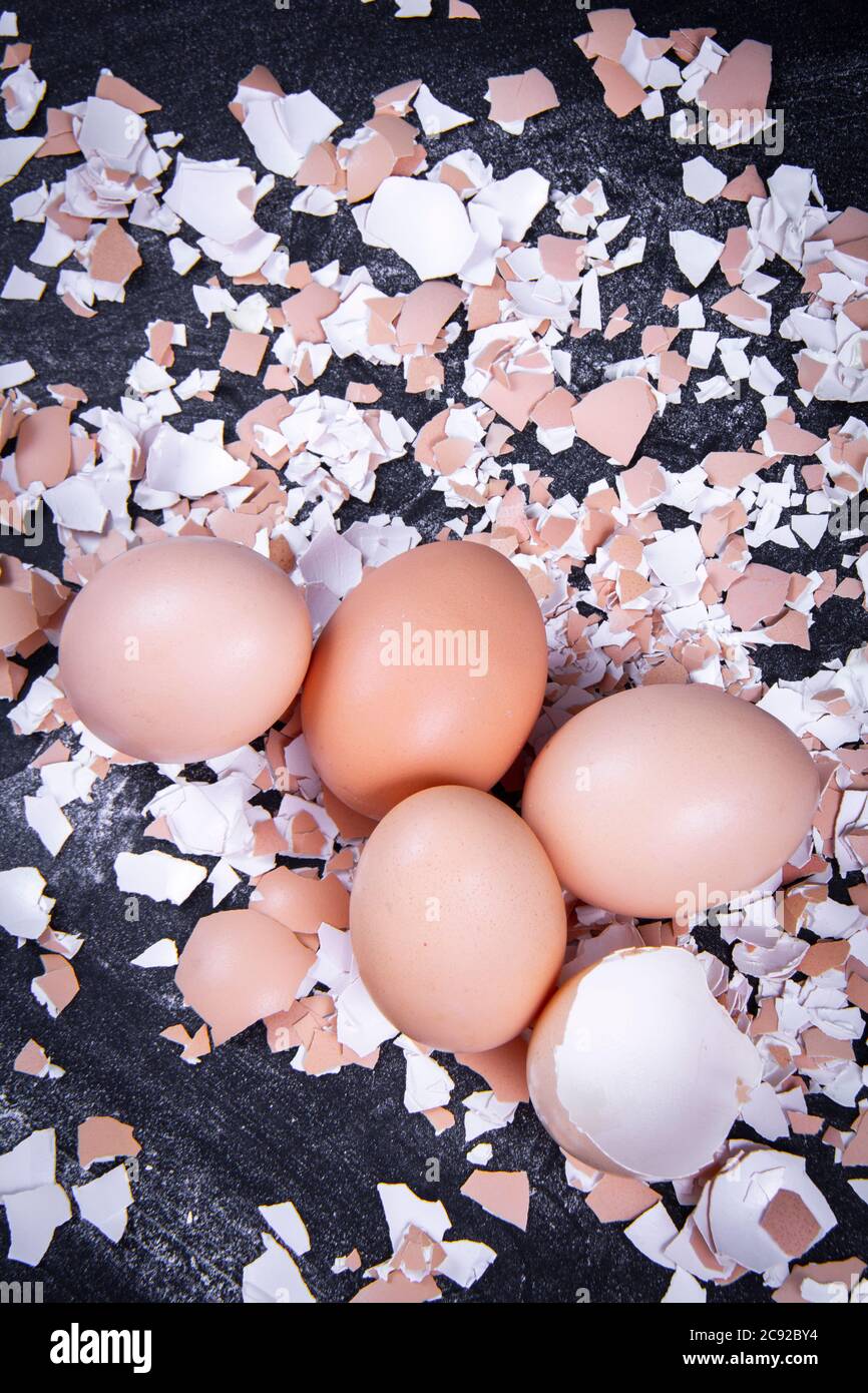 Shell smash hi-res stock photography and images - Alamy