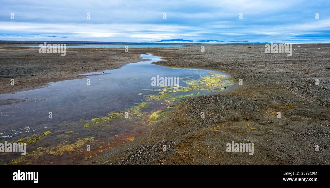 Mammoth River, Wrangel Island, Russian Far East, Unesco World Heritage ...