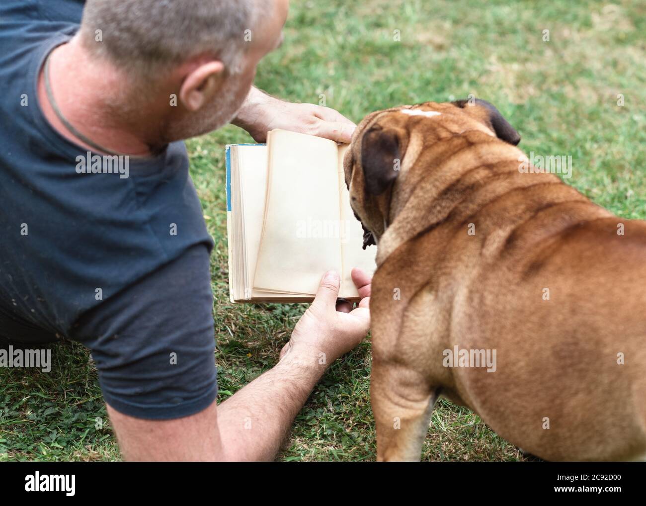 English mastiff with people hi-res stock photography and images - Alamy