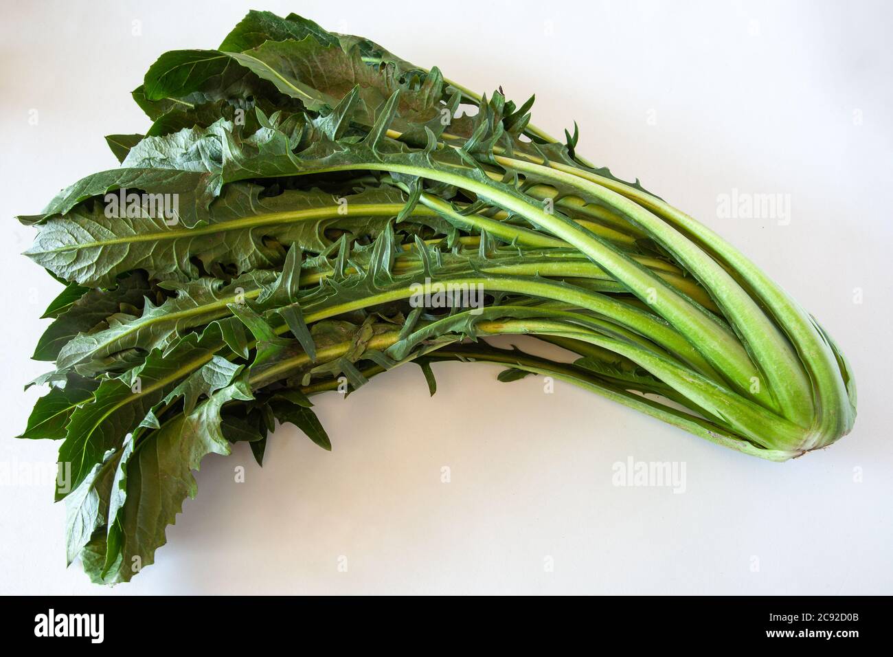 Head of raw chicory on white background, natural light Stock Photo - Alamy