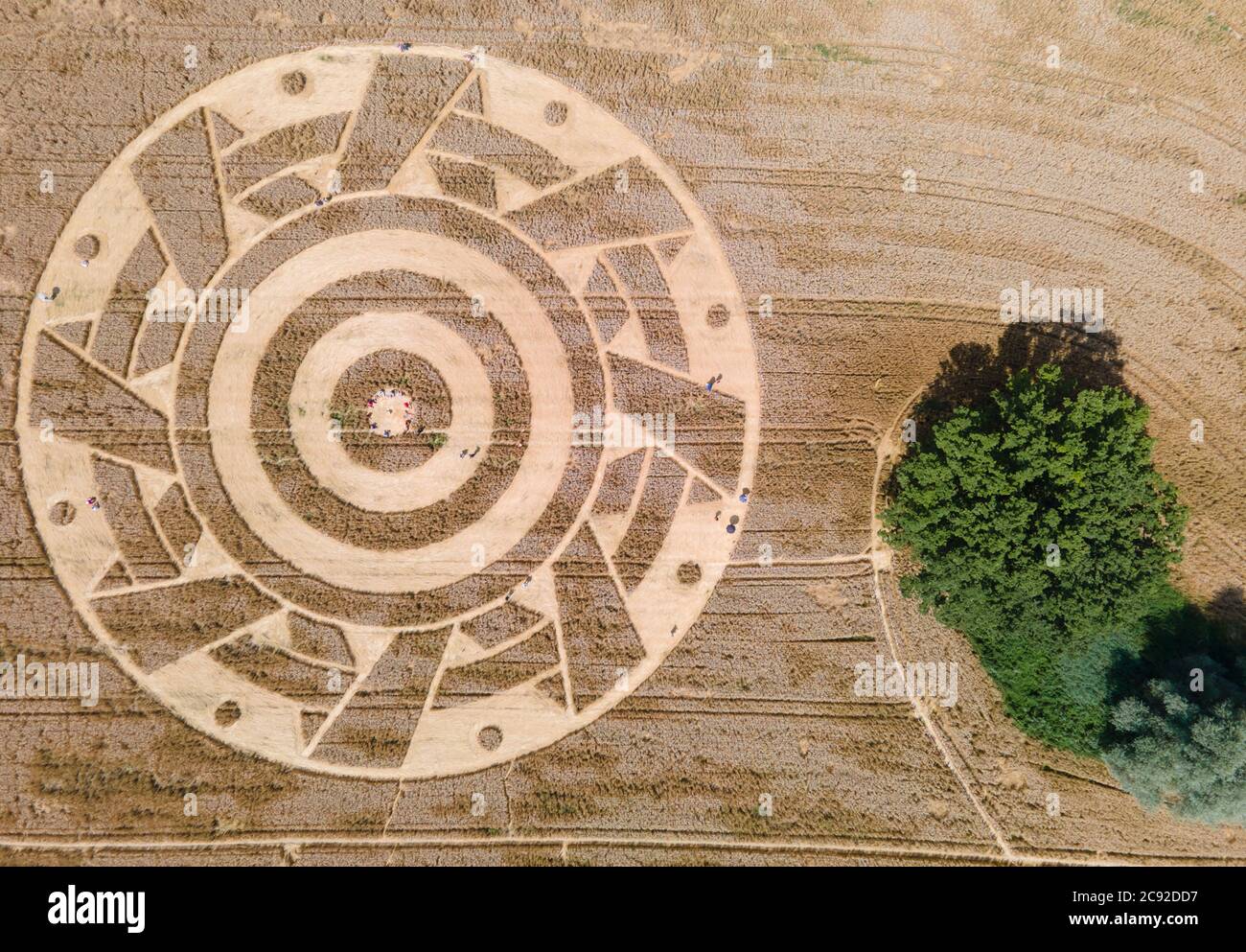 28 July 2020, Bavaria, Pähl: Interested people wander through a crop ...