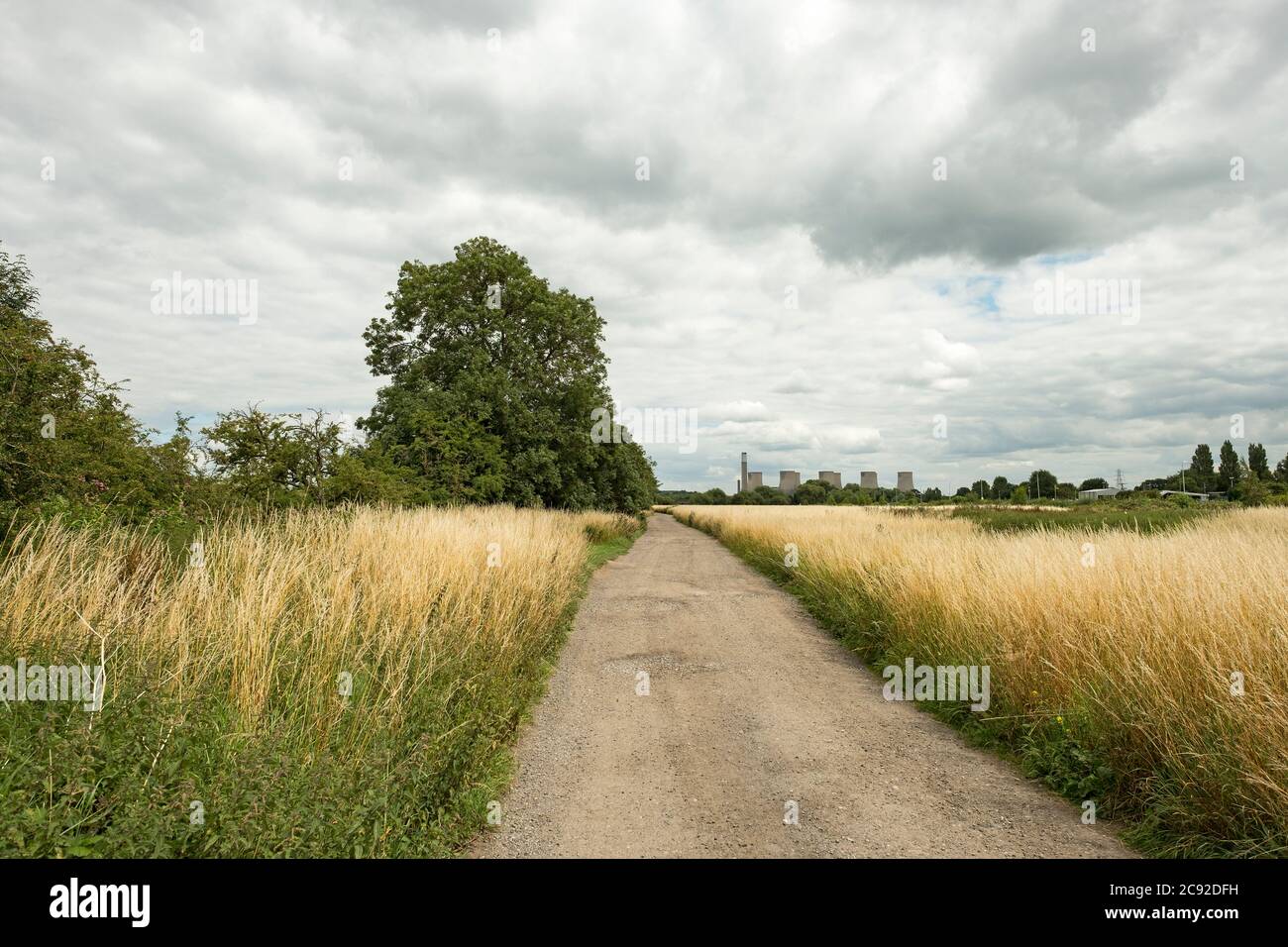 Dry dusty rural dirt road Stock Photo - Alamy