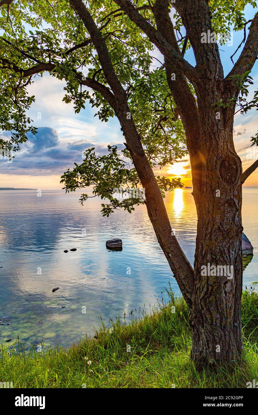 Sunlight glinting in lake water hi-res stock photography and images - Alamy