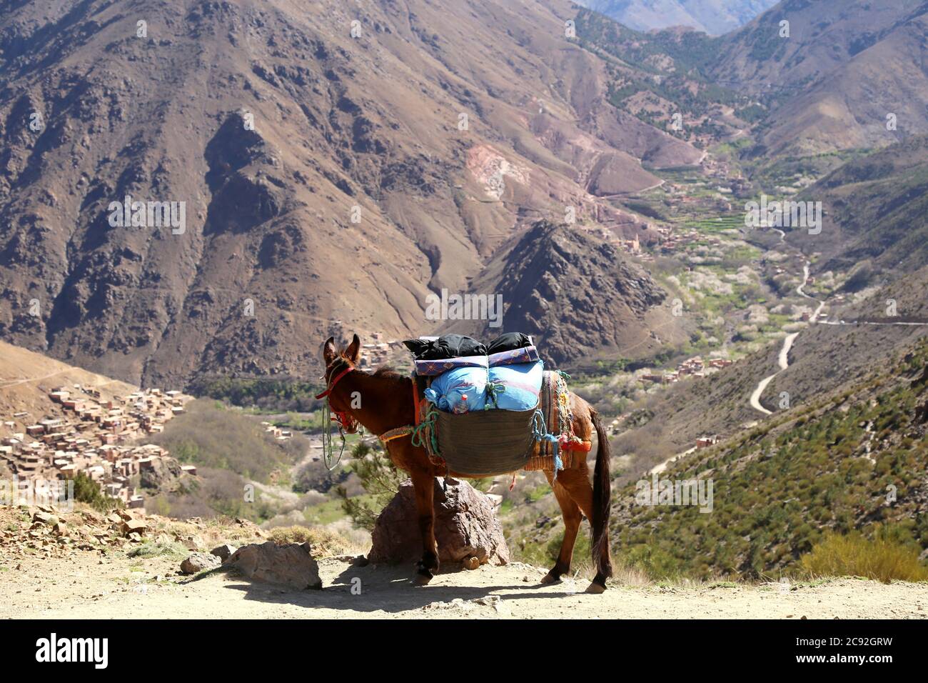 Mule mountains hi-res stock photography and images - Alamy