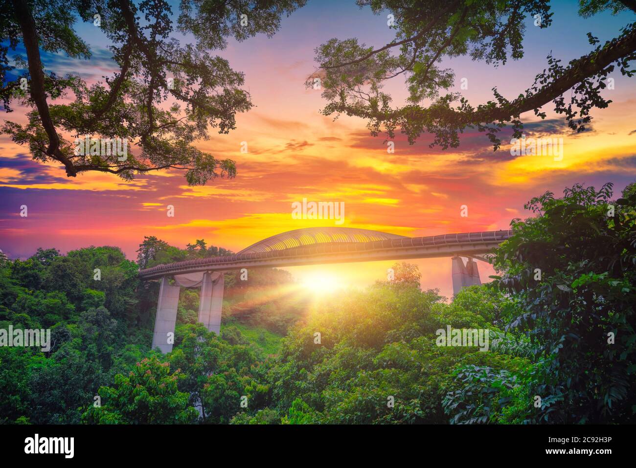 Henderson wave bridge at sunset in Singapore Stock Photo - Alamy
