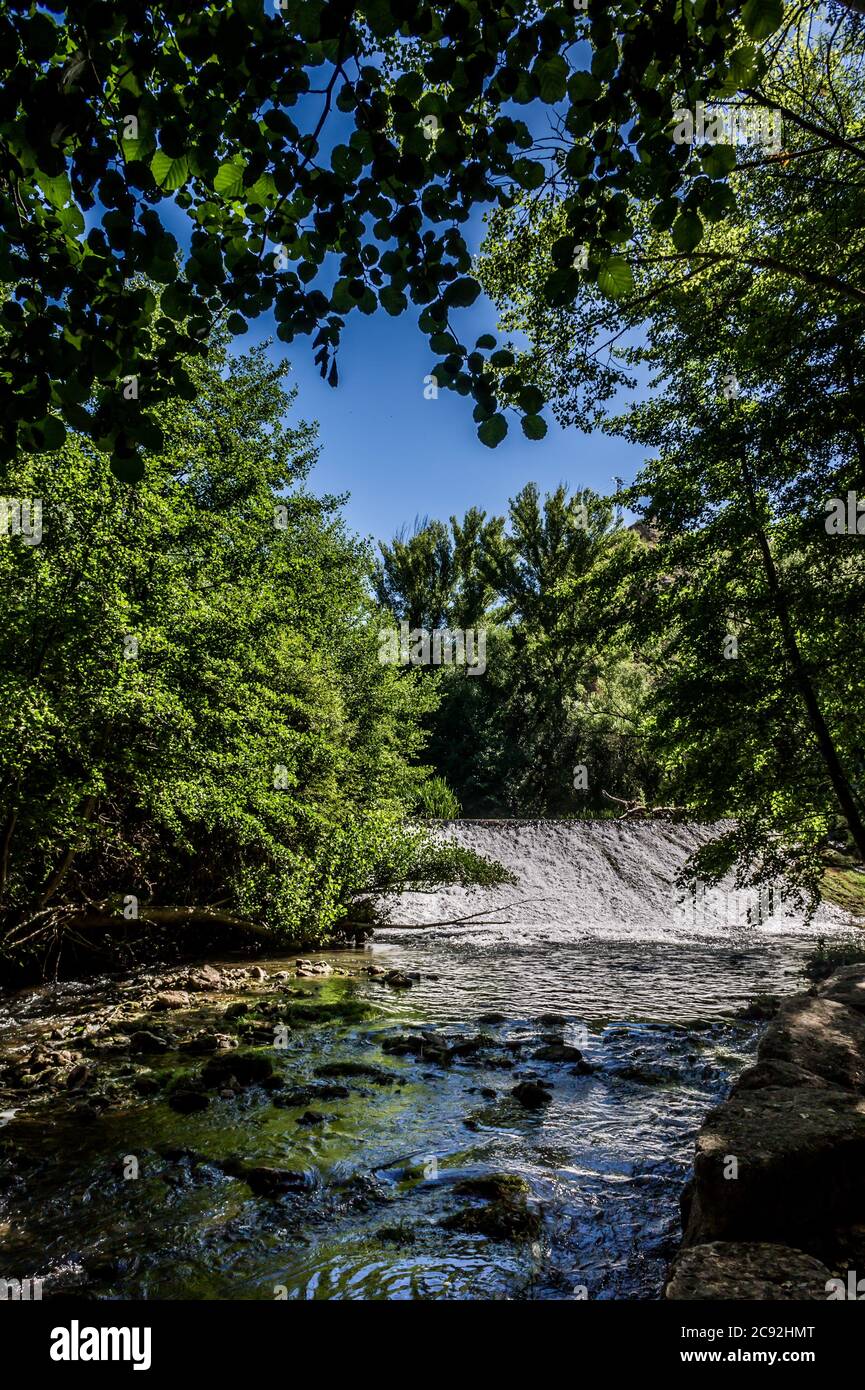 Vertical shot of a river flowing through woods Stock Photo - Alamy