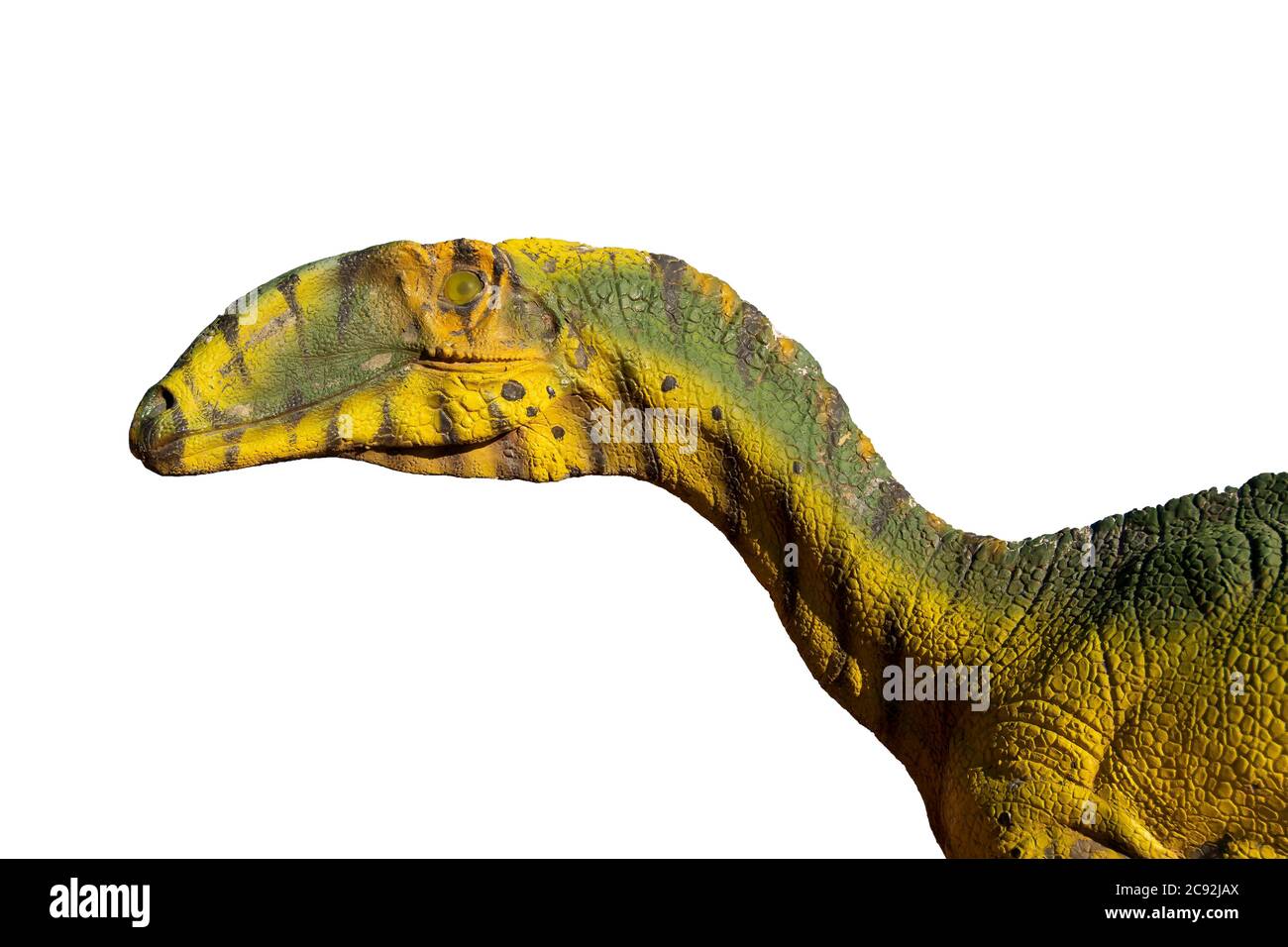 Side view dinosaur head isolated on white background Stock Photo - Alamy