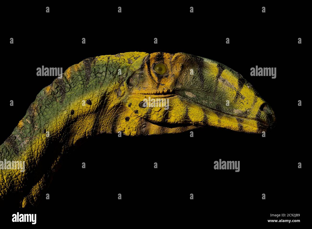 Side view dinosaur head isolated on black background Stock Photo - Alamy