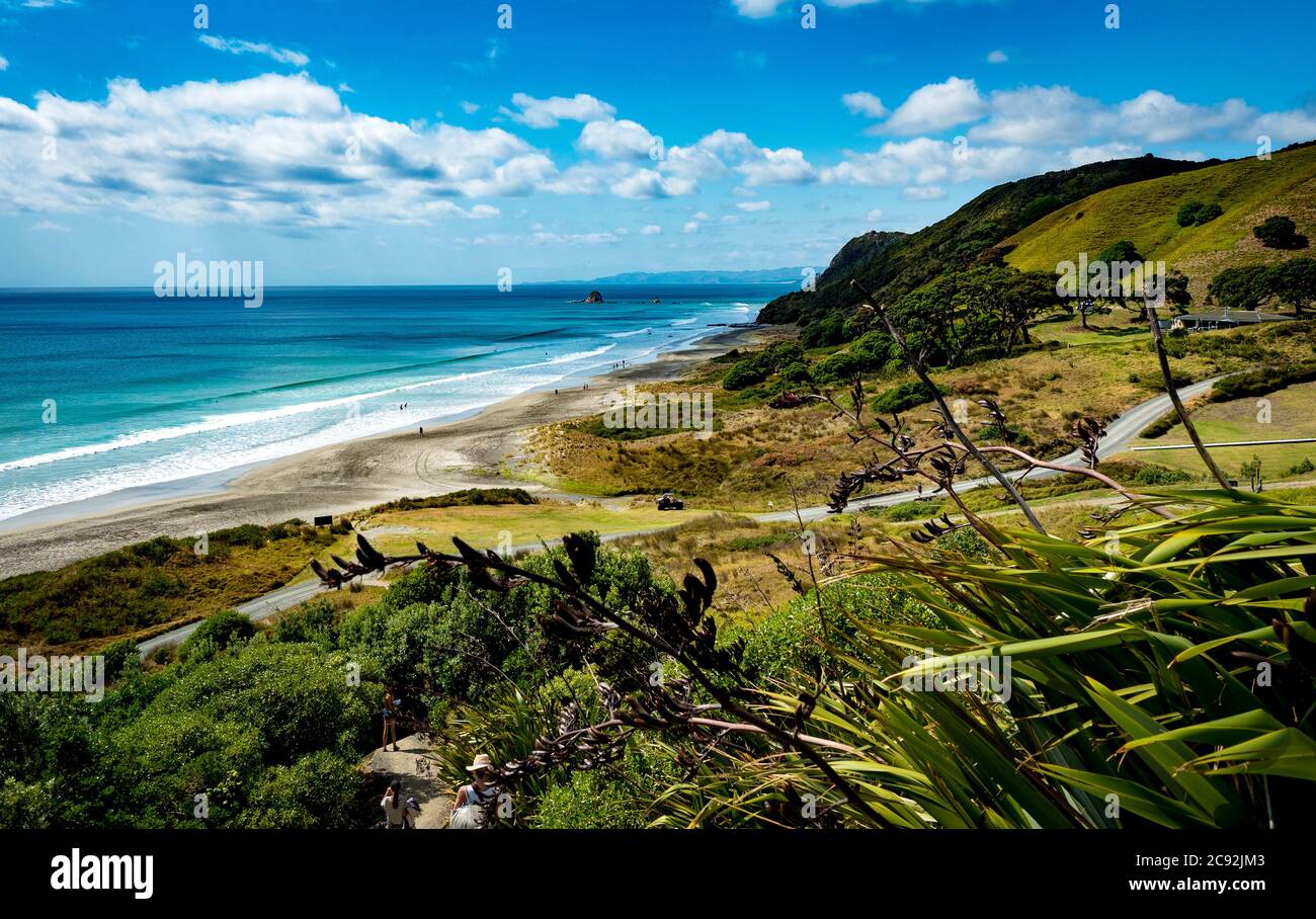 Nz bach hi-res stock photography and images - Alamy