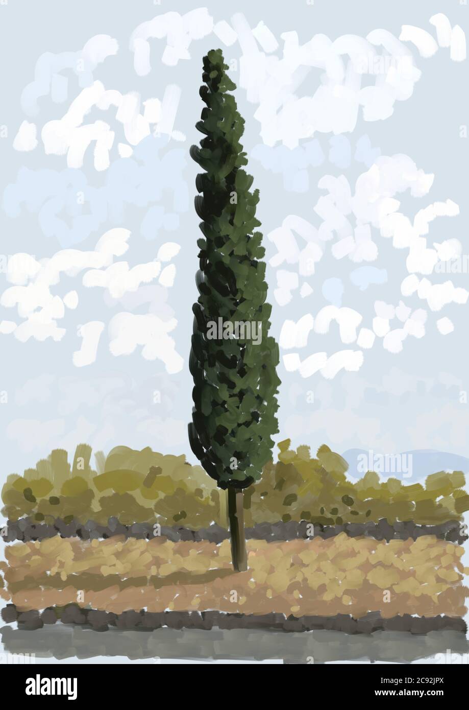 Cypress tree illustration hi-res stock photography and images - Alamy